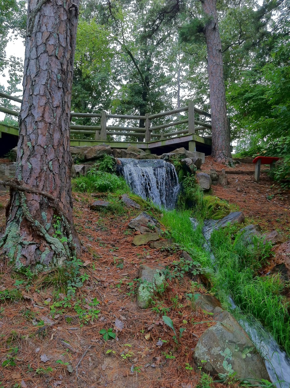 Gallivanting Adventurer: Crowley's Ridge State Park in Arkansas