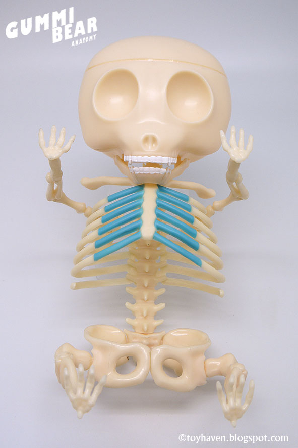 toyhaven: Review Artist Jason Freeny and 4D Master 41-piece 3D Gummi ...