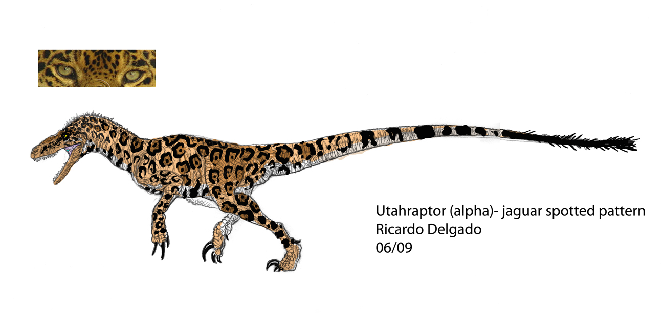 Ricardo Delgado's blog: Utahraptor