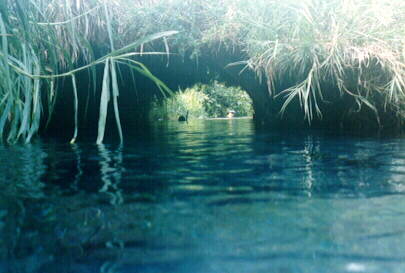 las estacas: LAS ESTACAS