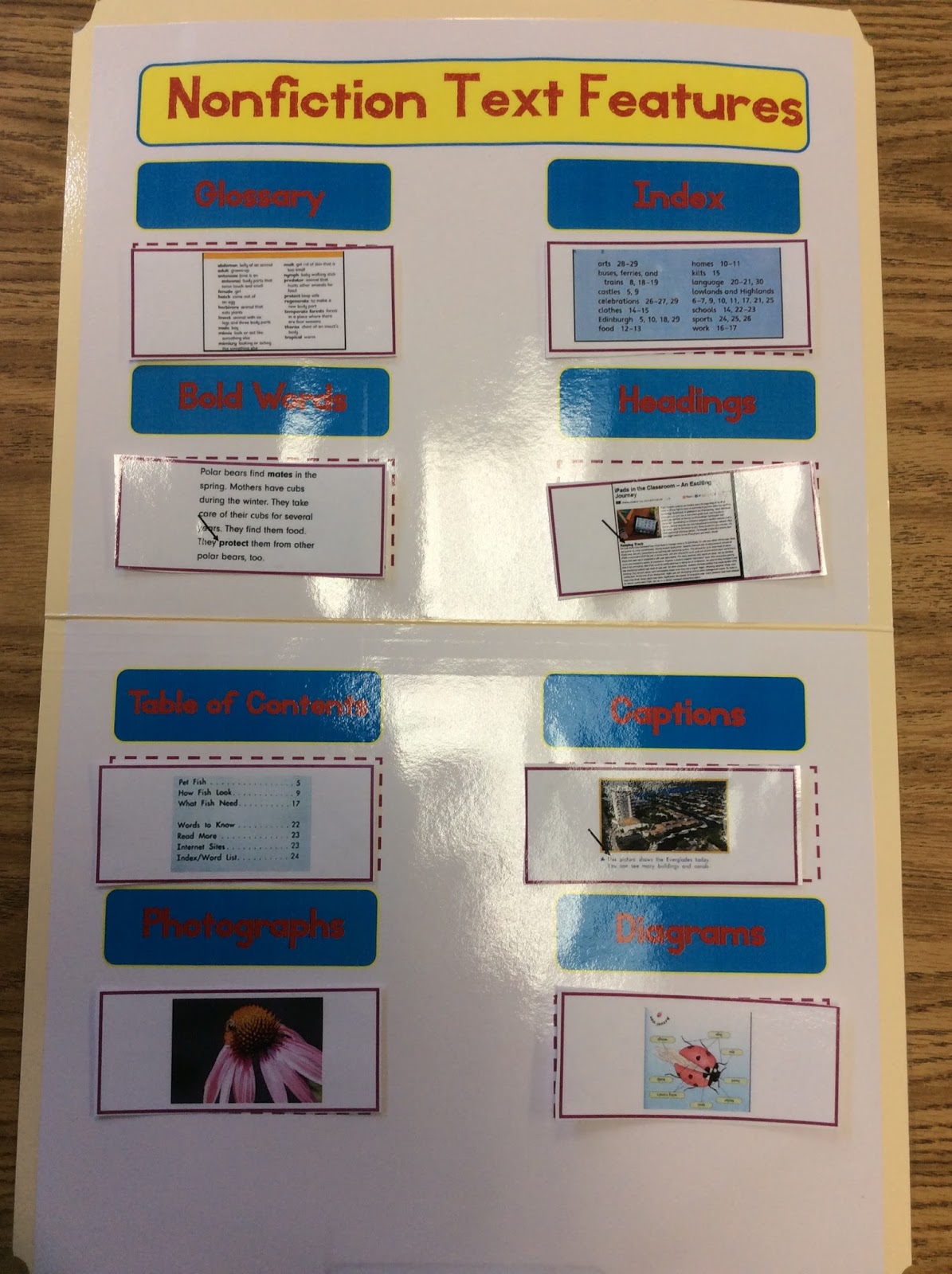 Jennifer's Teaching Tools: Nonfiction and Fiction Text Features