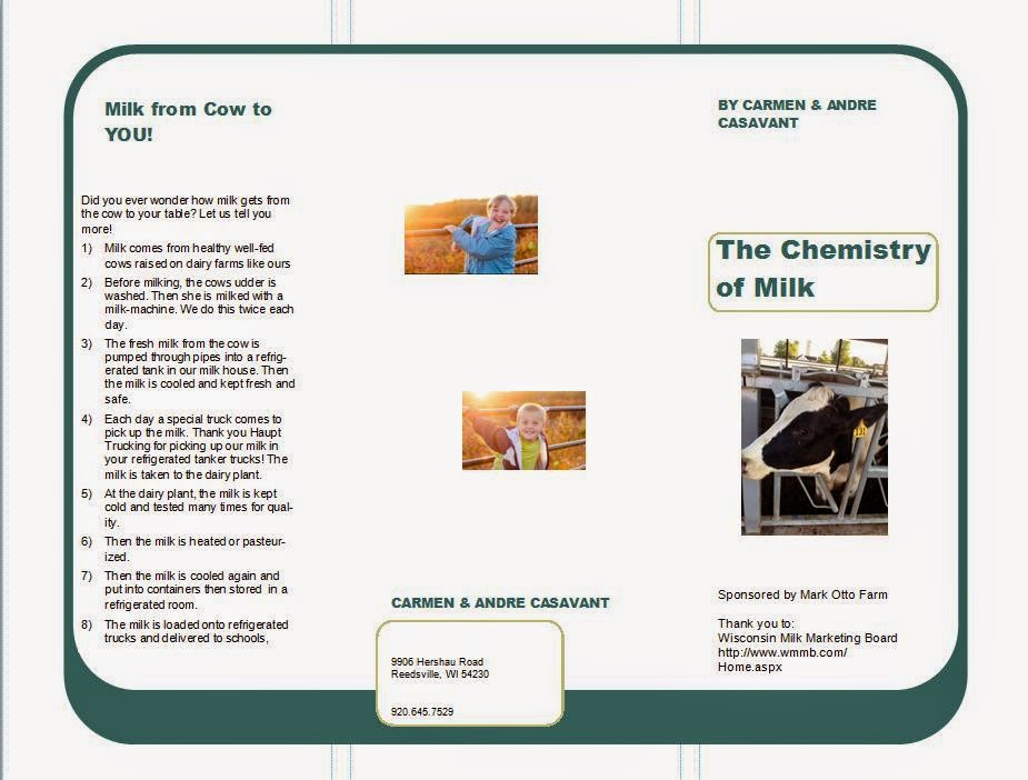 Bring On Lemons: Science Fair Project - The Chemistry of Milk (by ...