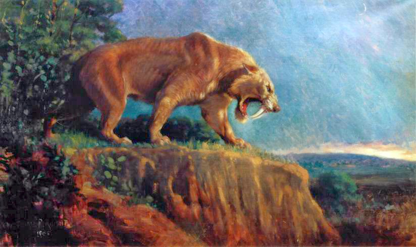 The Cryptic Corridor: The Art of Charles Knight