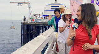 Discovery Channel Shark Week 2013: Snuffy the Seal