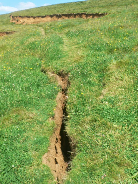 Lin's Isle of Wight Walking Blog: Walk 15 South Coast Path Brighstone ...