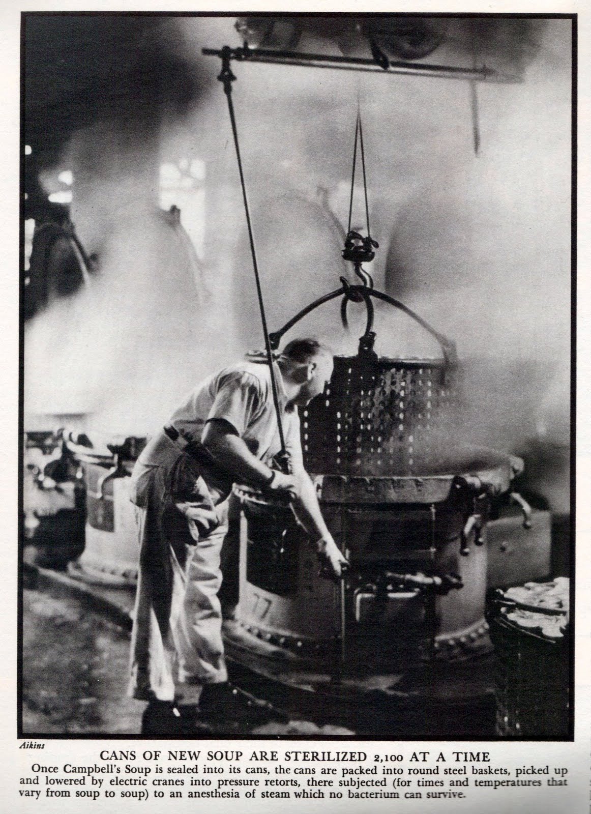 History in the Raw (The bare facts of history that you don't get to ...