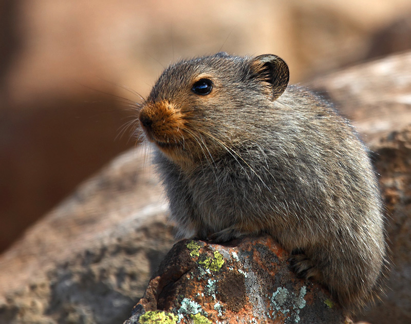 Biology and beyond ...: A little bit backwards … and what’s to come ahead?