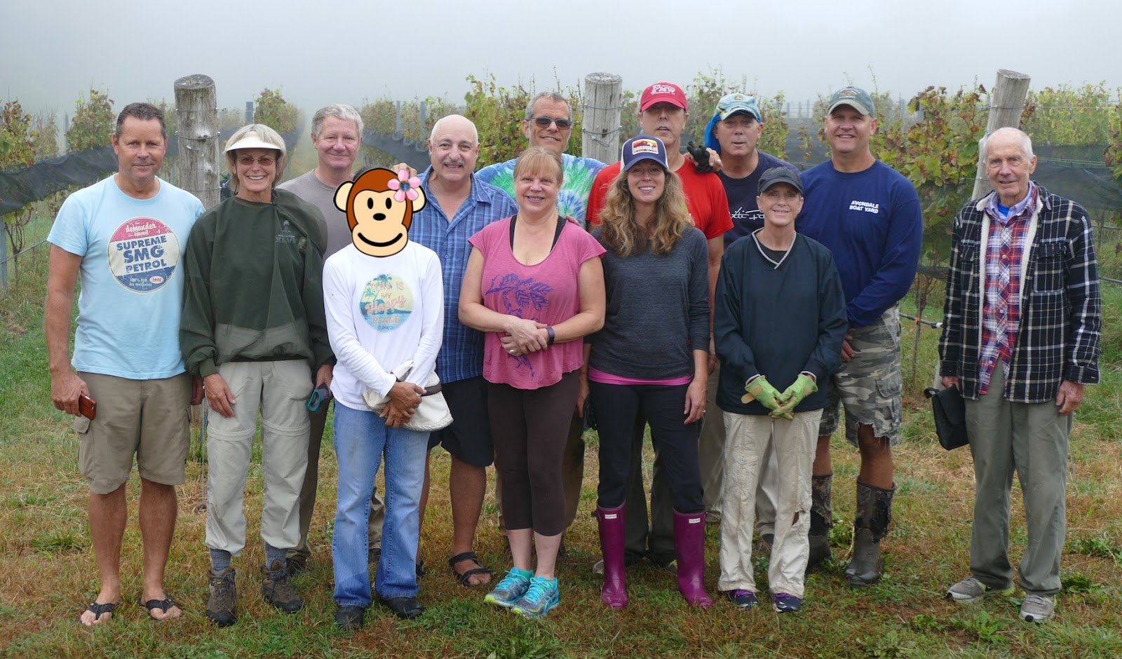 EnoViti: 10/01/2017 - 11/01/2017