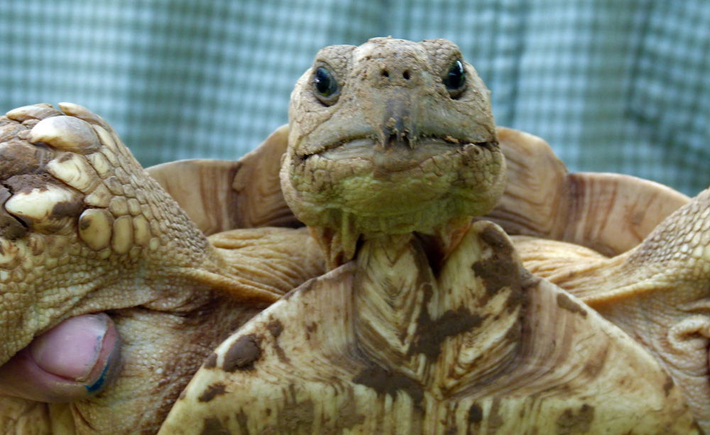 Do you see what I see? : r/battlefield3