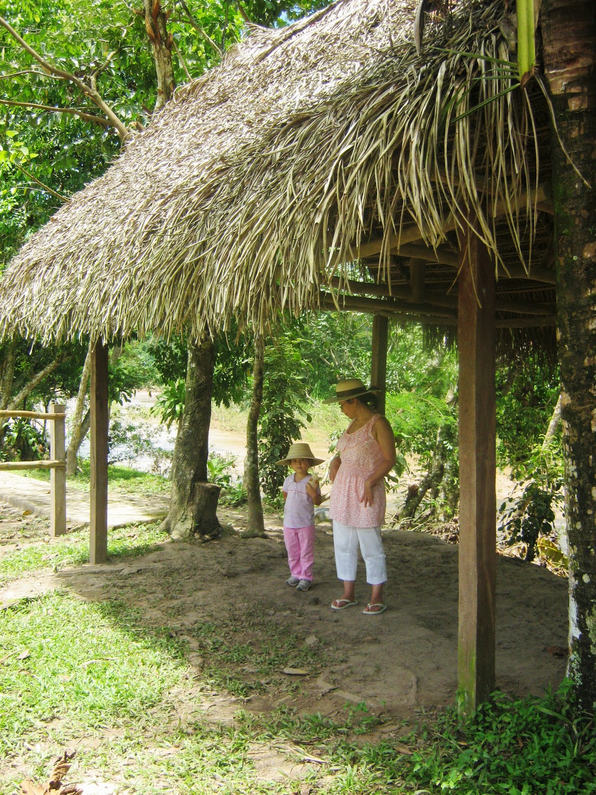 Turismo y Cultura Amazónica: Los encantos del distrito de Chazuta y sus ...