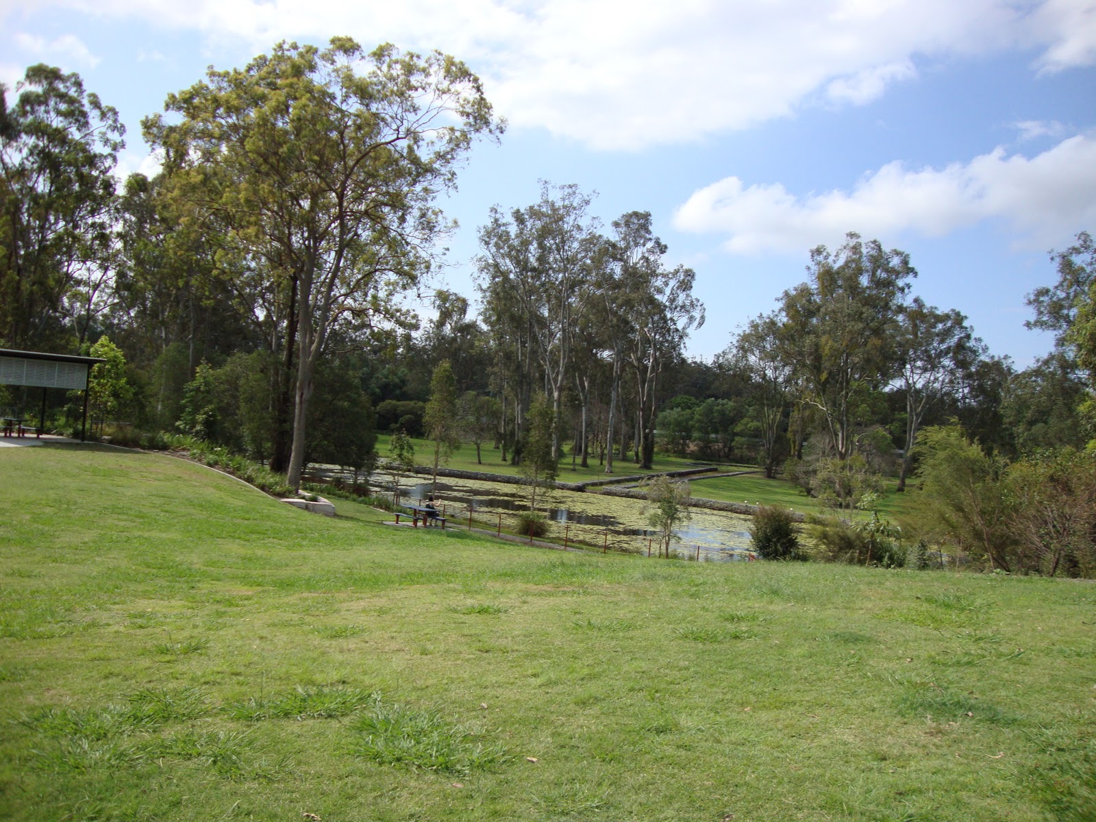Mik's Random Adventures: Capalaba Regional Park