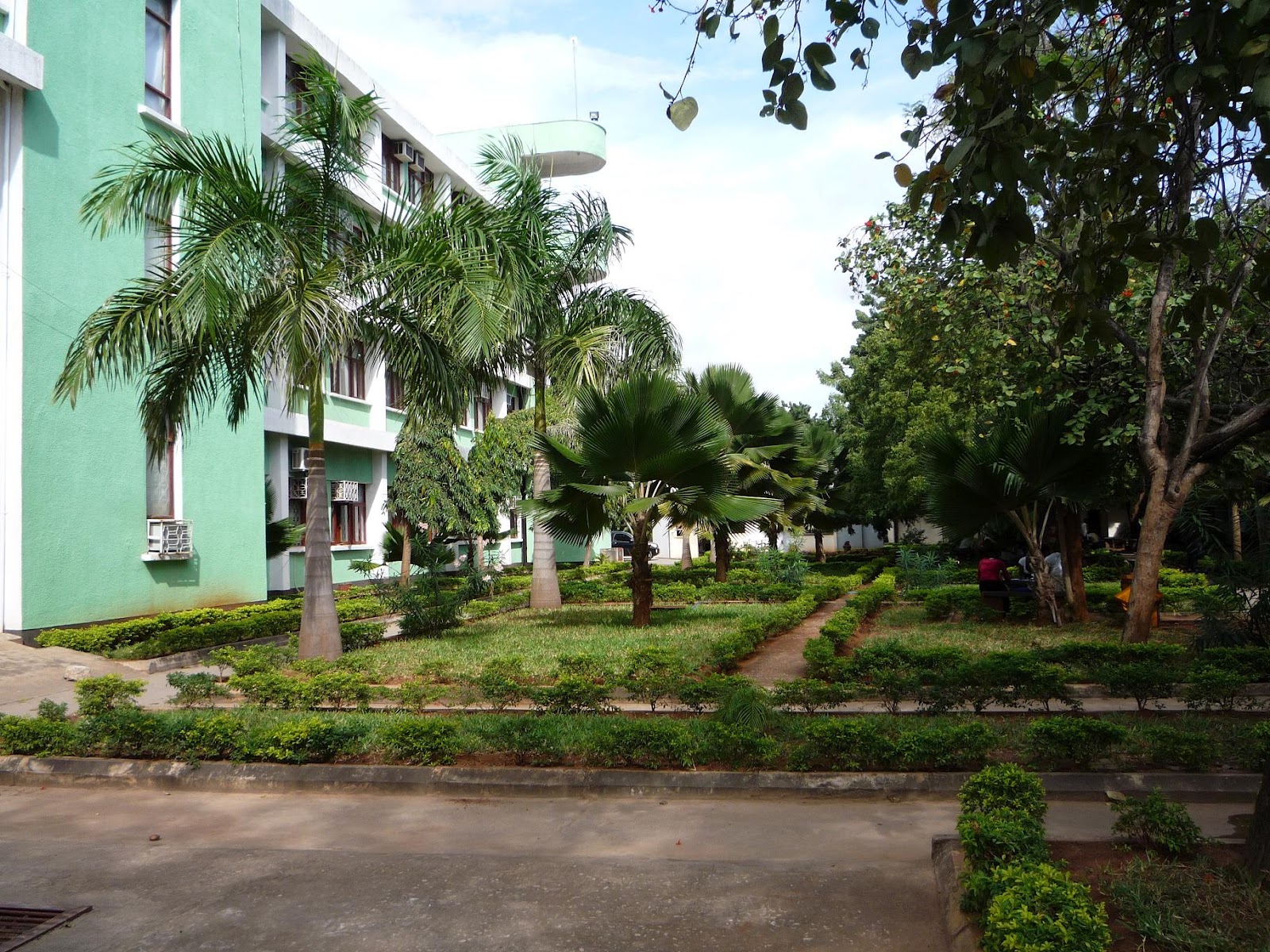 Sampster's Global Adventures: The Muhimbili hospital experience part 1