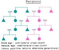 Biology Vocabulary Terms