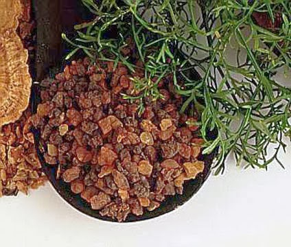 BioVegetalis: LA MIRRA PARA EL CUIDADO ESTÉTICO.