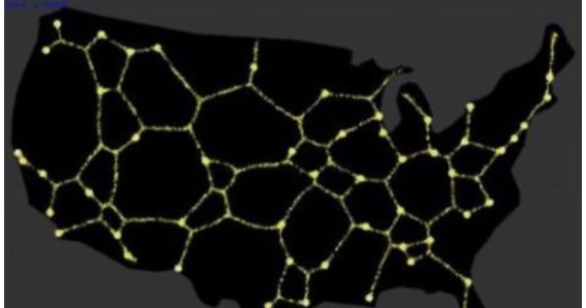 Skip's House of Chaos: Slime Mold on a map of the US