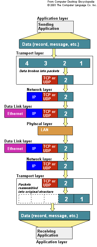 ankitshuklacmc: Protocol Stacks