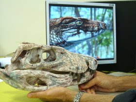 Biogil: O CROCODILO PRÉ-HISTÓRICO DE MINAS GERAIS: Campinasuchus dinizi