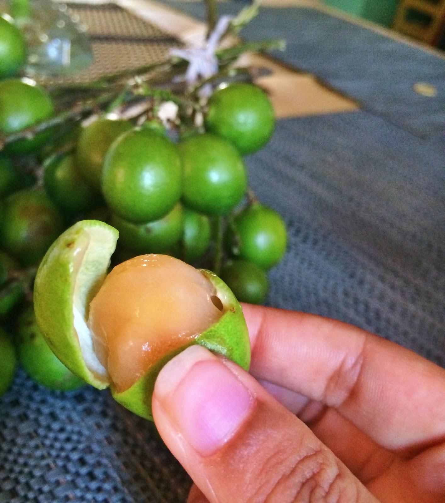 My First Chenette In 2 Years | Hannah Ra