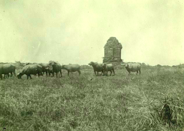 Tapanuli Selatan Dalam Angka: Sejarah Kota Medan (13): Kerajaan Aru di ...