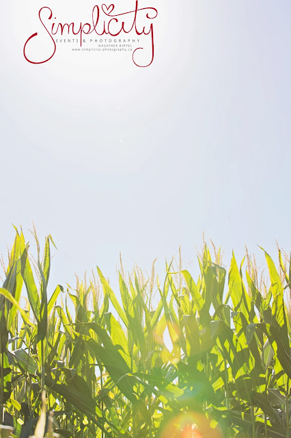 Simplicity Photography