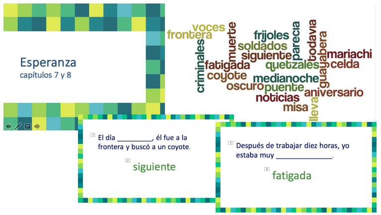 Teaching Spanish w/ Comprehensible Input: ESPERANZA the novel: Ideas ...