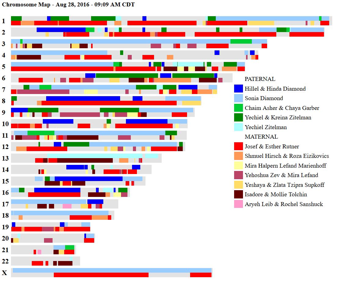 Lara's Jewnealogy: Mapping My DNA--August 2016 Update