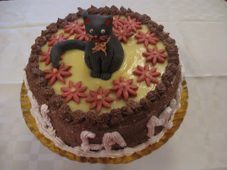 Modele Tort: TORT PISICA