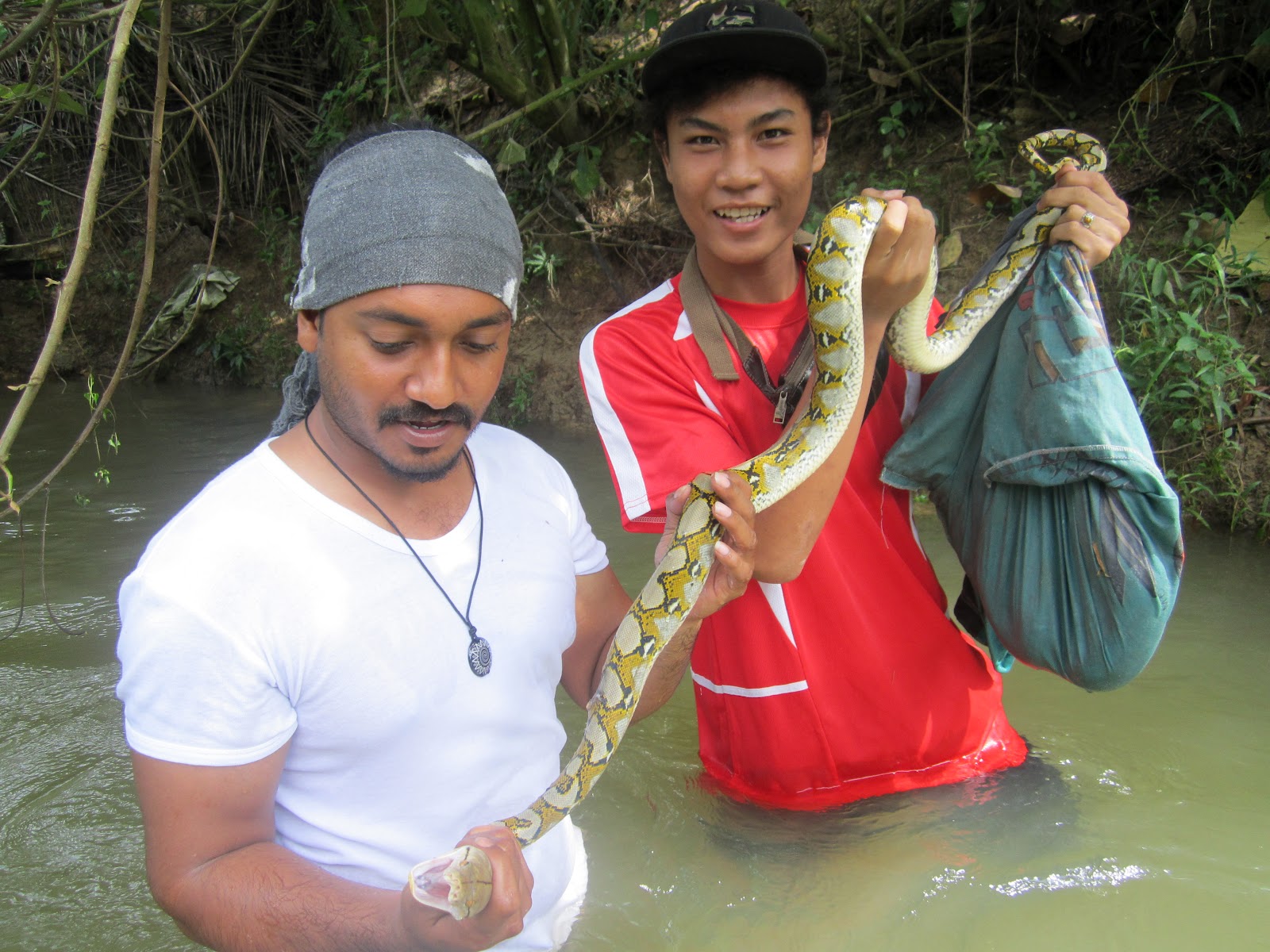 SON OF THE SNAKE KING MALAYSIA: Snake Hunting