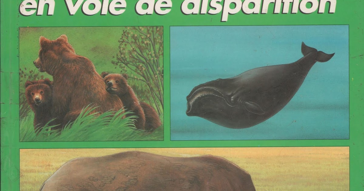 Leçons de choses: Pariselle, Les animaux en voie de disparition (1991)