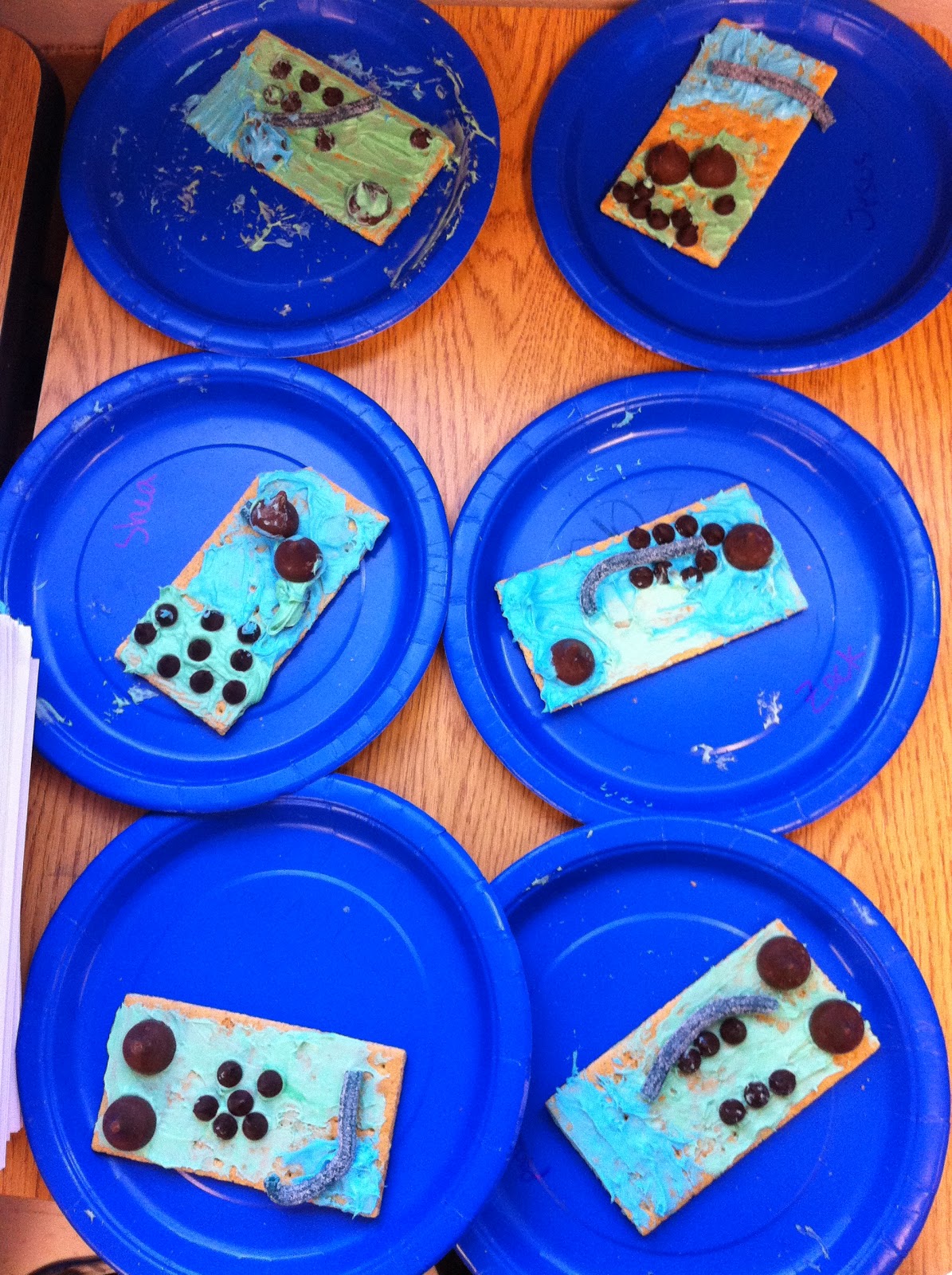 Fun in First Grade!: Shadow Play