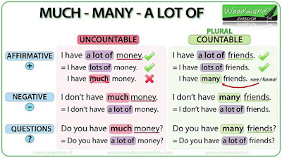 AULA MERINDADES : HOW MUCH /HOW MANY