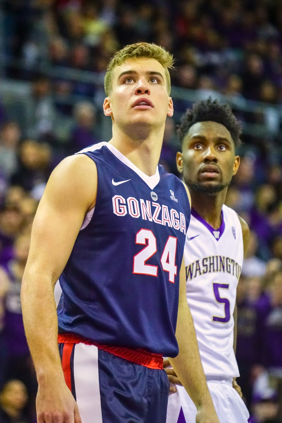 Shoreline Area News: Sports: Corey Kispert returns to Seattle