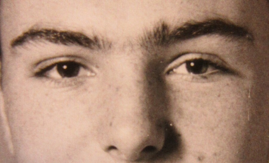 Bird's Yellow House: Synophrys or Better Known as the Unibrow