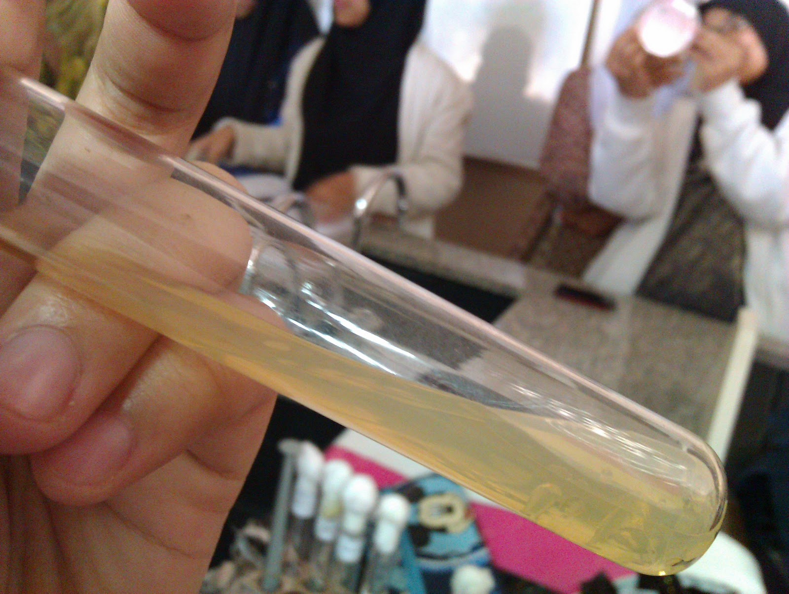 tamaniyah tibb team :): prak microb I