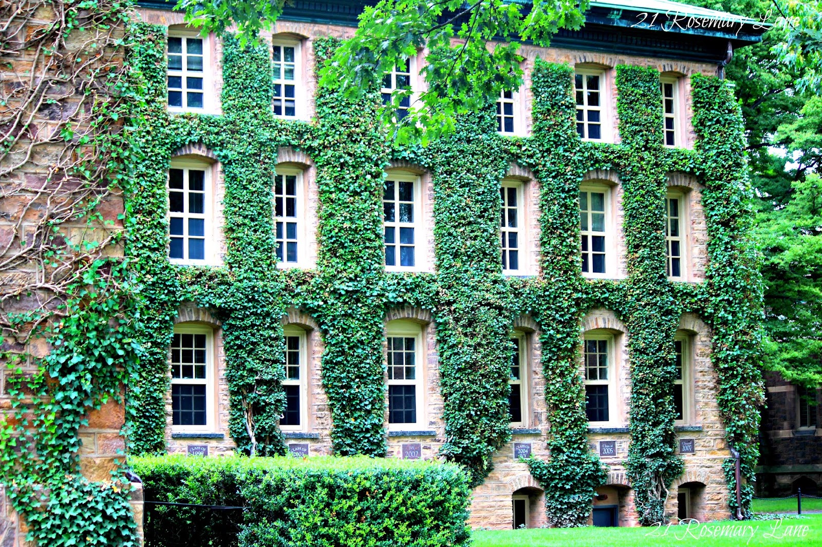 21 Rosemary Lane: Palmer Square and Princeton University