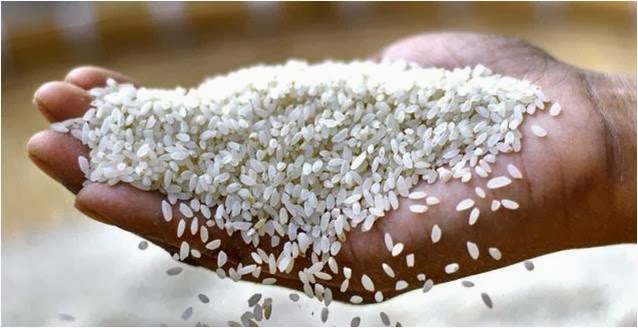 সেউজী ধৰণী -Seuji Dharani: Rice of Assam