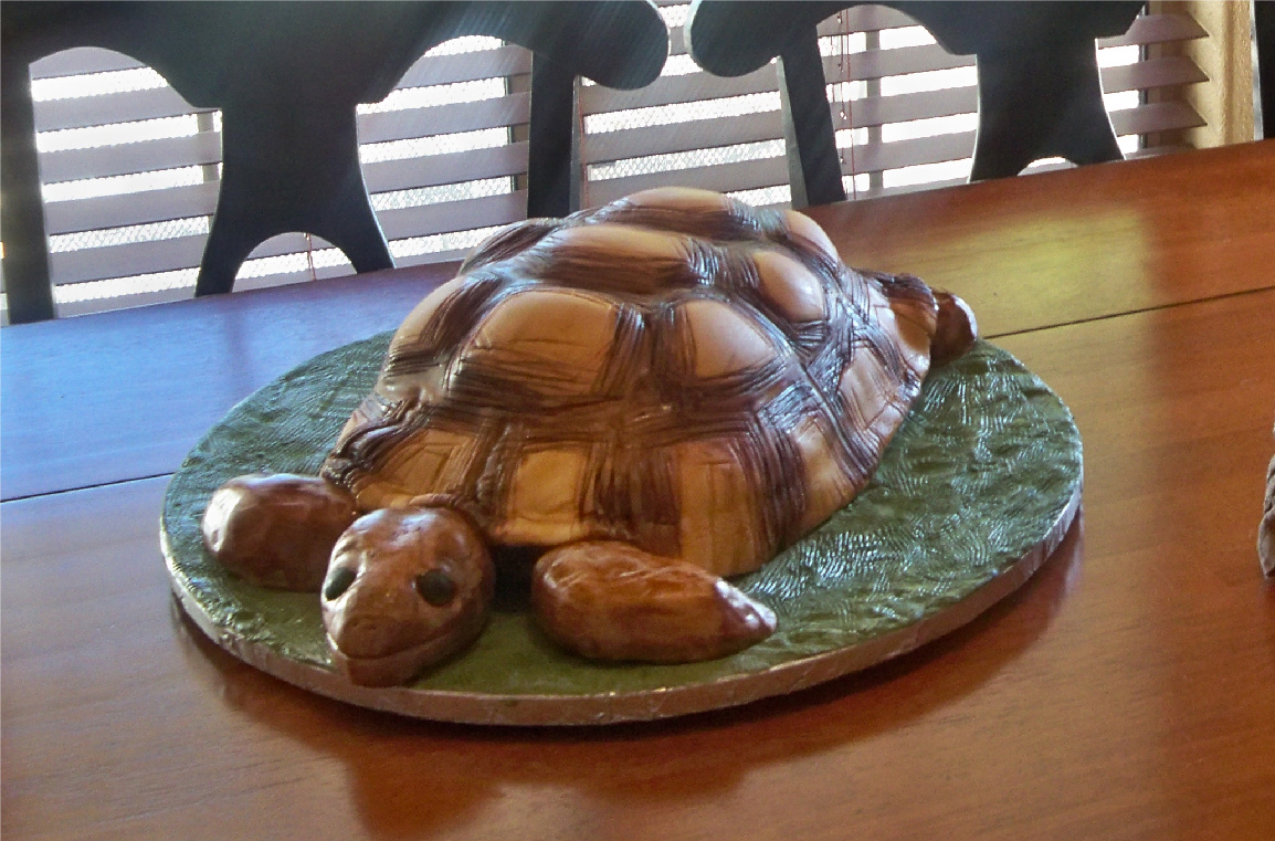 The Cake Shoppe: Tortoise Cake