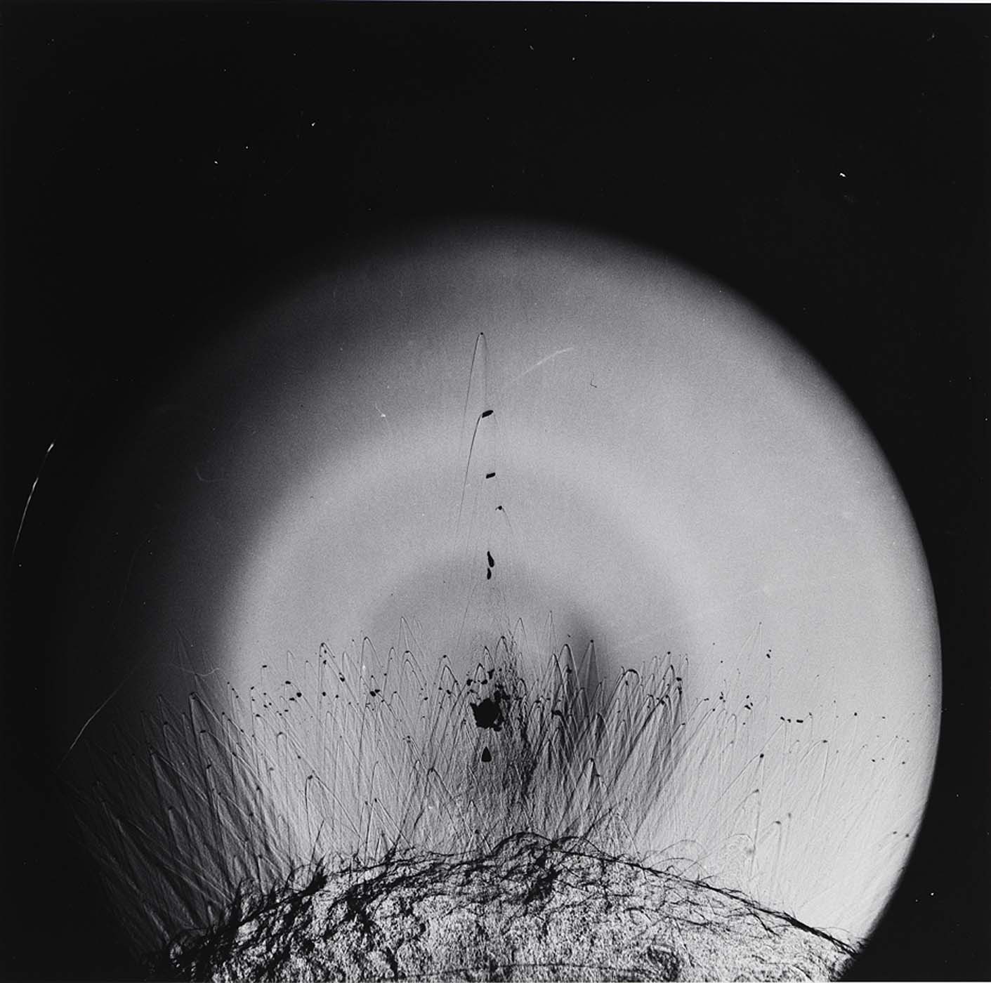 Anthony Luke's not-just-another-photoblog Blog: Photographer Profile ...