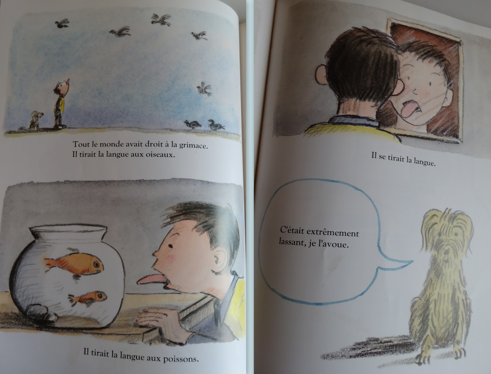 Les lectures jeunesse (et quelques autres) de Jangelis: Toutou dit tout ...