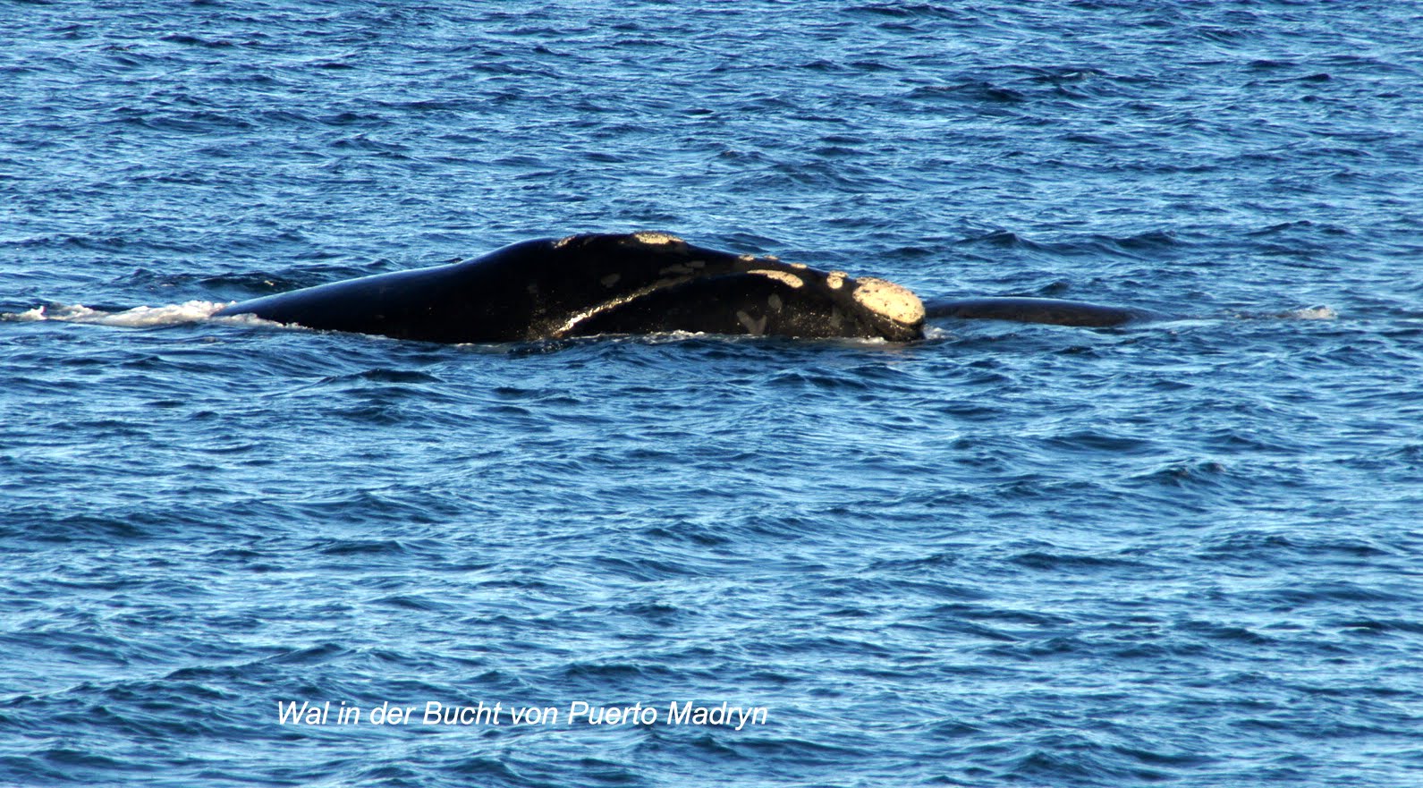 Unsere Reise: Unsere Reise geht weiter