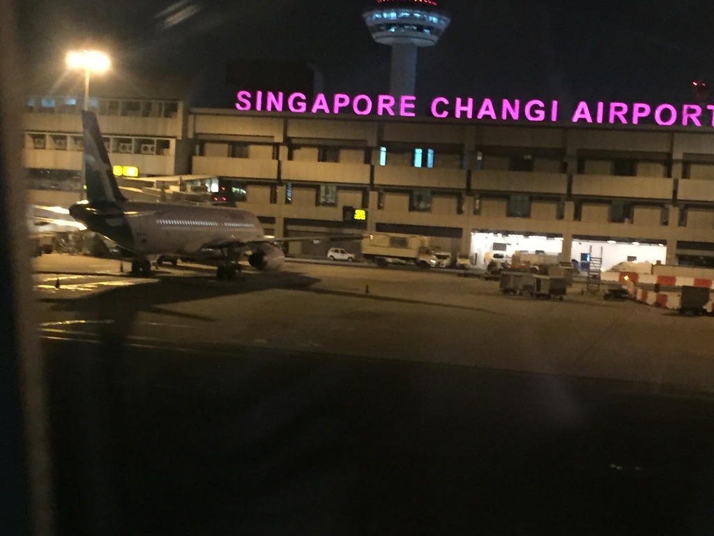 Leisure Blogger: Singapore Airlines Flight Report-SQ 528