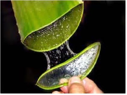 MEDICINA NATURAL: LAS PLANTAS, LAS FRUTAS Y LOS GRANOS CUIDAN TU SALUD ...