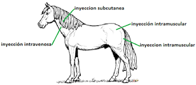 AGROPECUARIAS: INYECTOLOGIA
