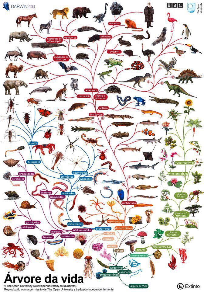 GeoScienze: Tree of Life