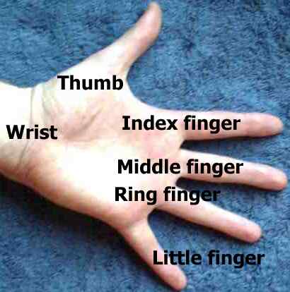 Tip-Top English: Finger and toe names
