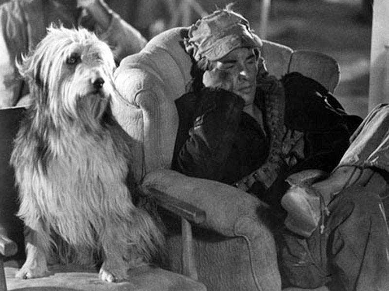 Rusty White s Film World A Boy And His Dog 1975 rusty-white-s-film-world-a-boy-and-his-dog-1975