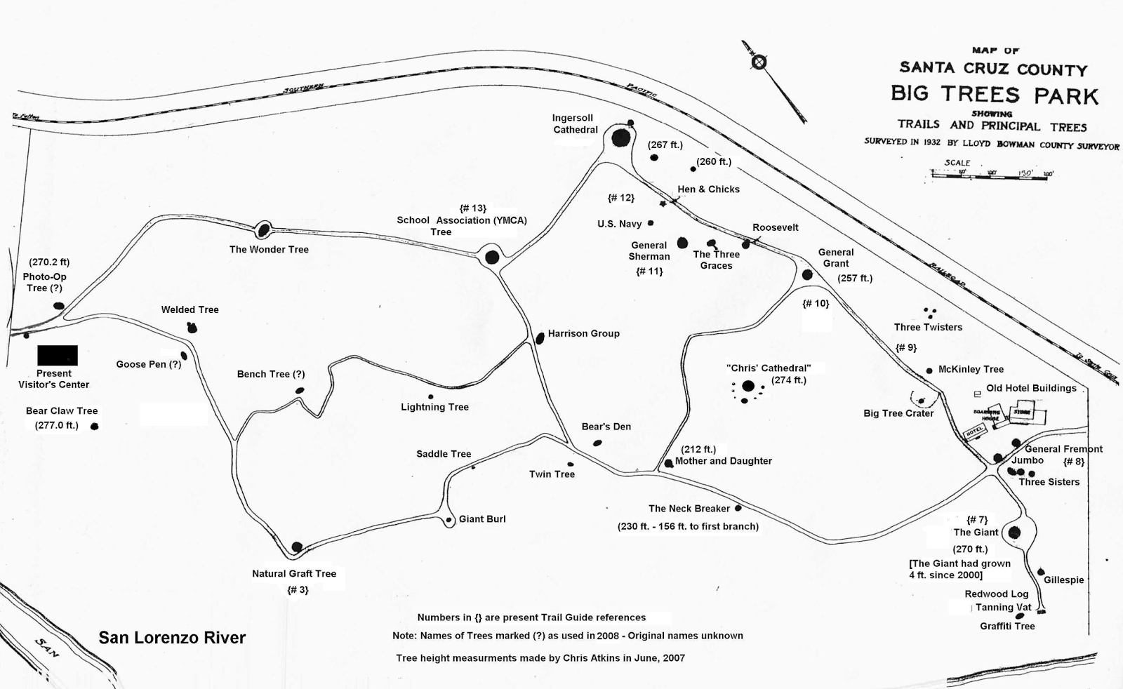 Santa Cruz Trains: Curiosities: Big Trees