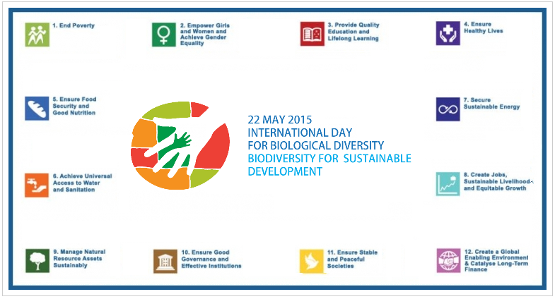 Biodiversity and Sustainable Development Goals | thegreenmarketoracle