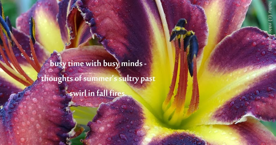 Busy Time with Busy Minds | Daylily Haiku Thursday | a girl and her ...