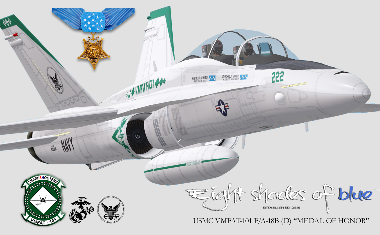 Eight Shades of Blue: USMC F/A-18D Hornet VMFAT-101 2012 "Medal of Honor"